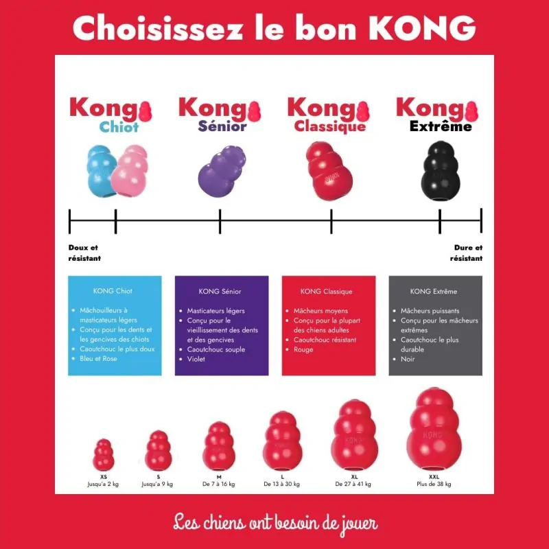 Kong Bounzer Blue Kong - Vétorino