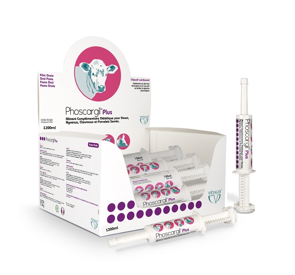 Phoscargil Plus pâte Vetalis - Vétorino