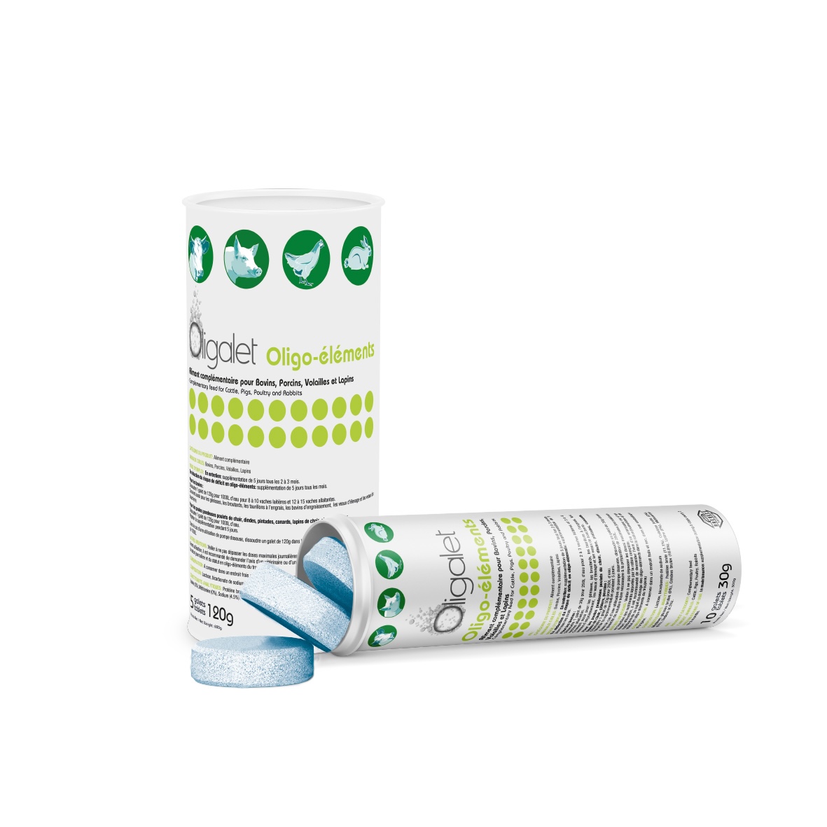 Oligalet Vetalis - Vétorino