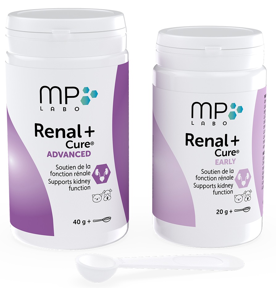Renal + cure Early Mp Labo - Vétorino